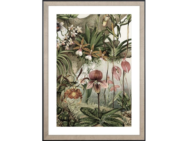 ARS LONGA Obraz TROPICAL ORCHIDS 55 x 75 cm