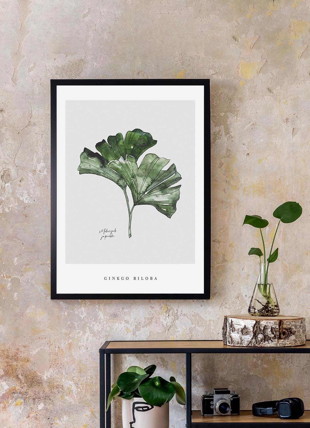 ARS LONGA Obraz GINKGO BILOBA ART 53 x 73 cm kupuj w OBI