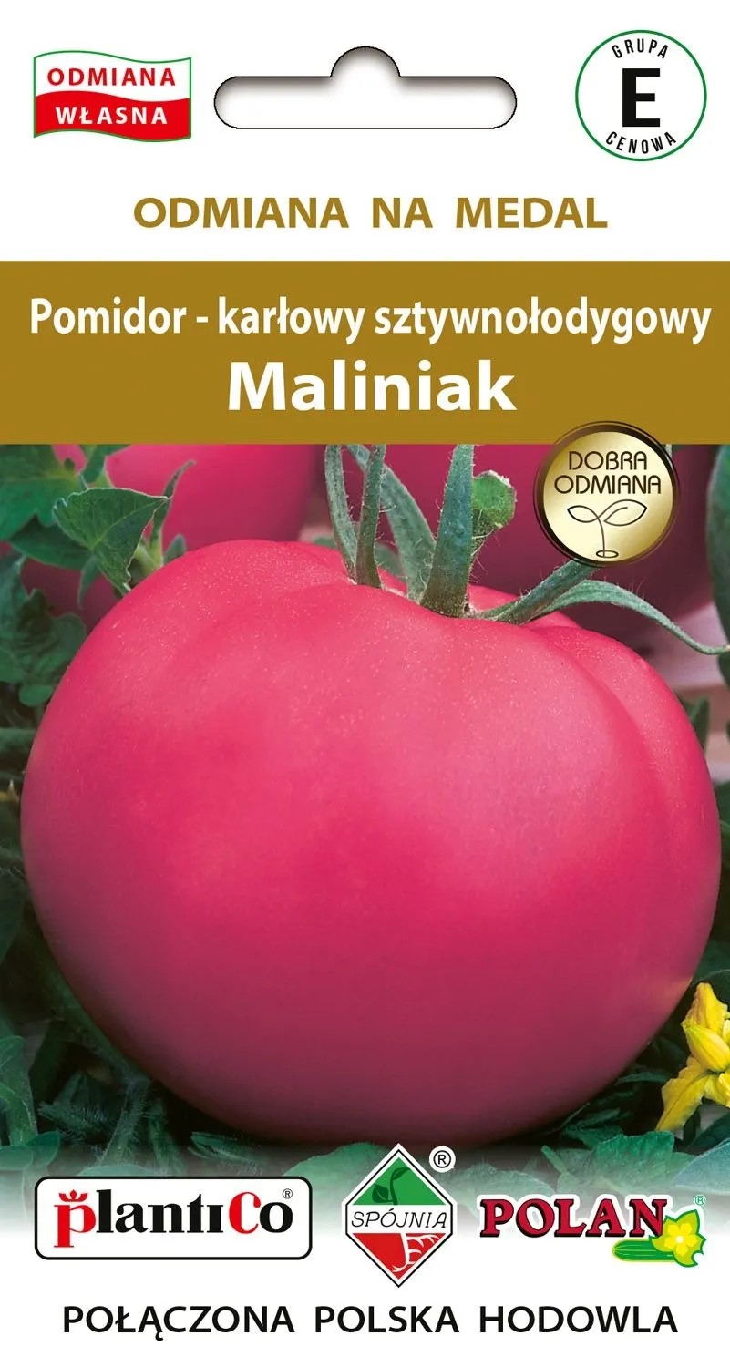 Pomidor gruntowy Maliniak - 0,5 g