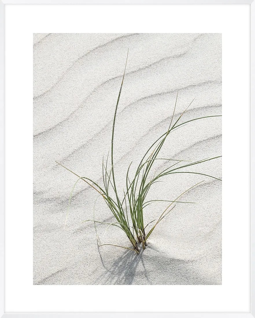 Obraz PIASEK 40 x 50 cm kupuj w OBI