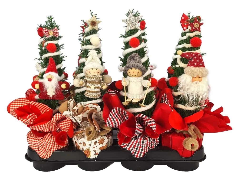 Cyprysik Maskotka - wys. 55 cm kupuj w OBI