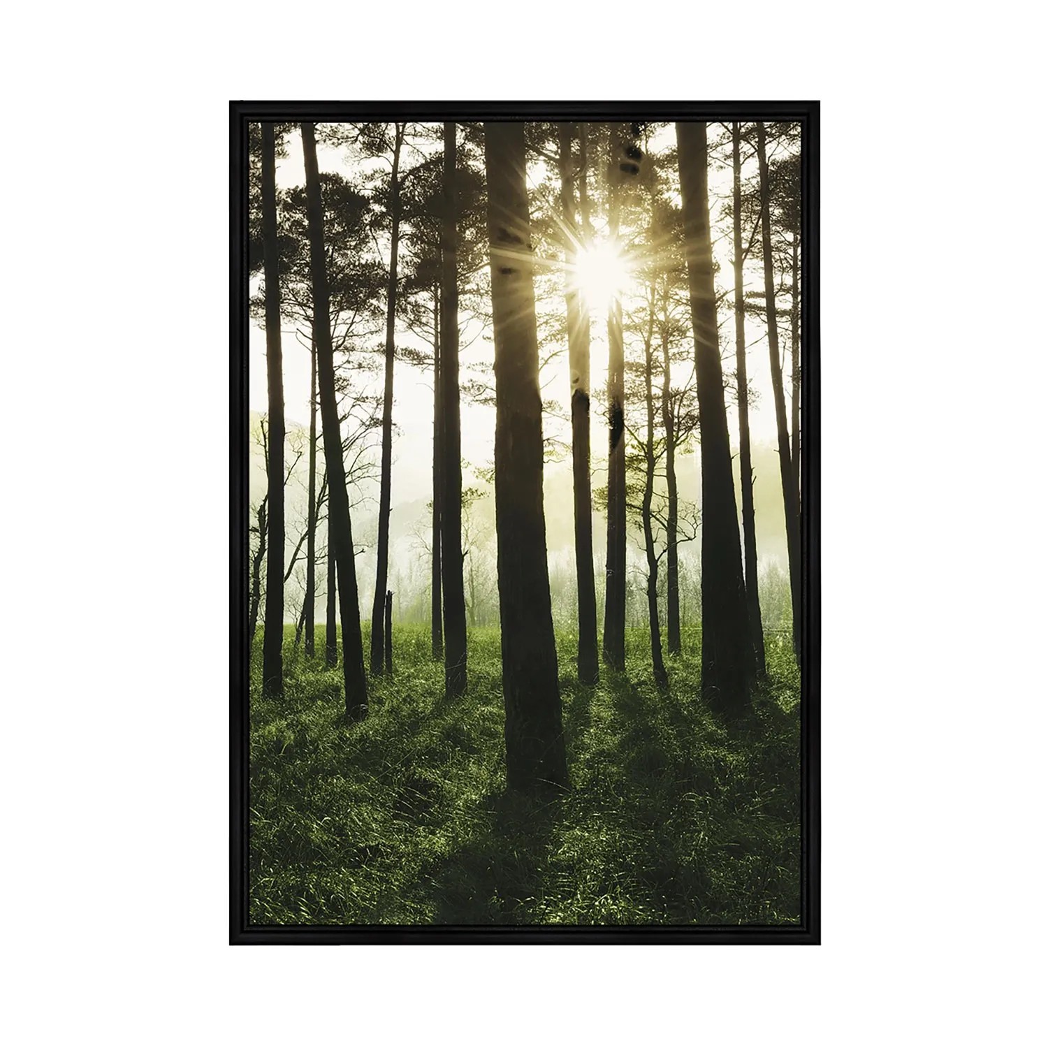 Knor Obraz Las 50 x 70 cm kupuj w OBI