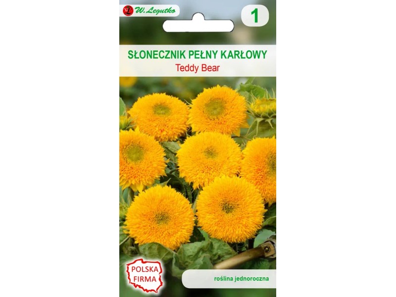 Słonecznik ozdobny Teddy Bear złotożółte 1,00g