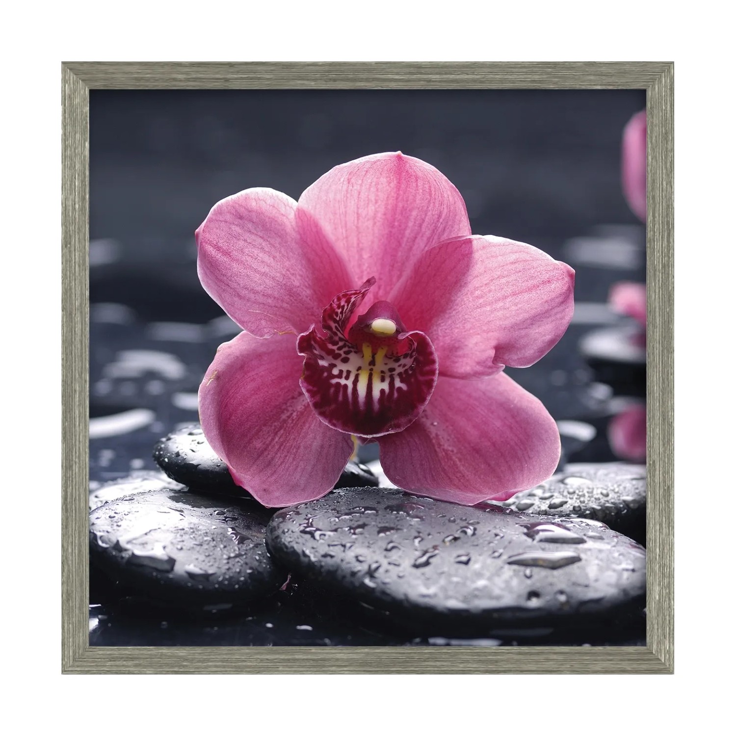 Obraz STORCZYK 30 cm x 30 cm kupuj w OBI