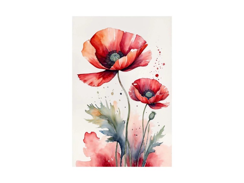 Frames Factory Obraz CANVAS mak 60 x 80 cm