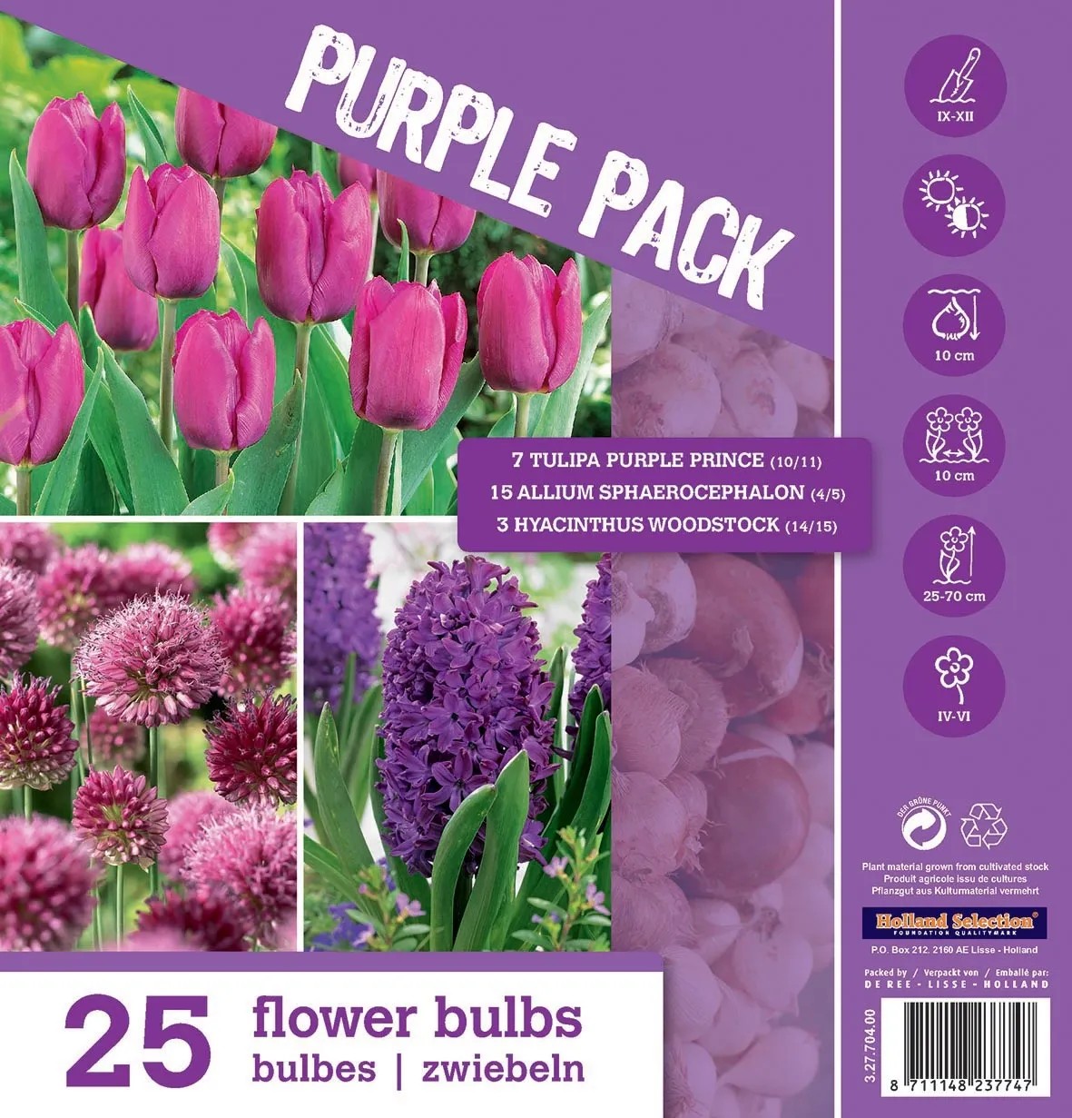 Zestaw cebul 25szt. kupuj w OBI