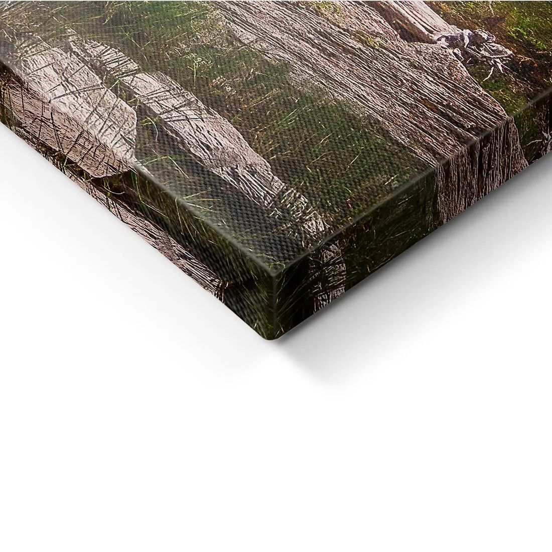 Obraz Canvas ALBERTA PARK 60 x 150 cm kupuj w OBI