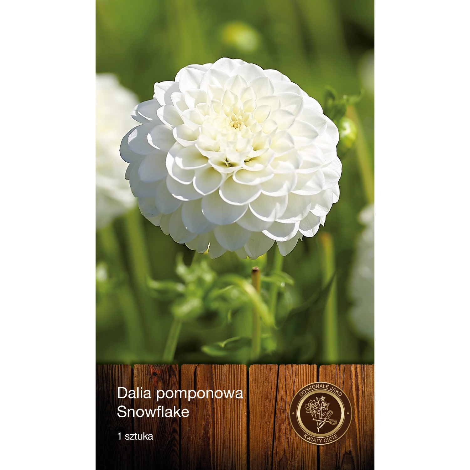 Dalia Snowflake 1szt. kupuj w OBI