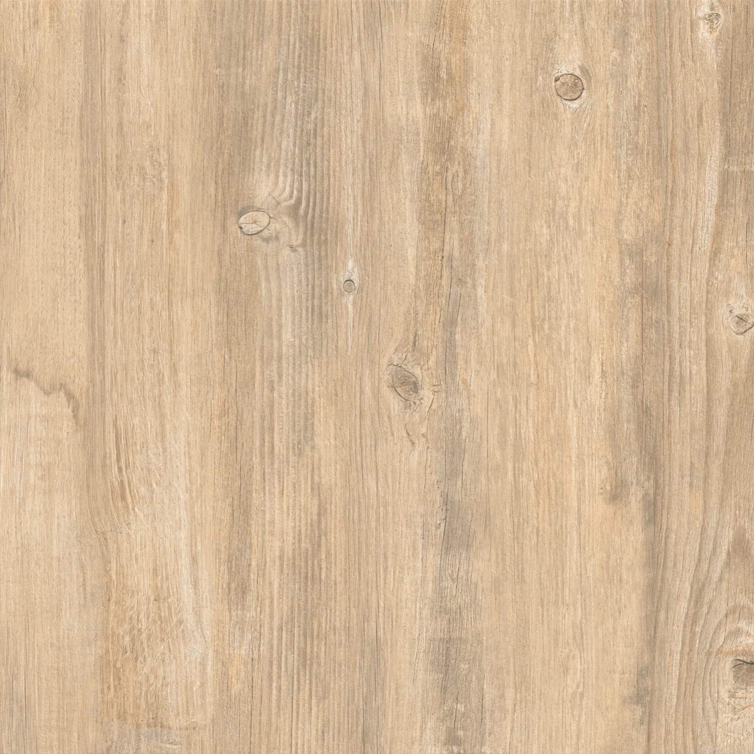 Płyta gresowa tarasowa Ventwood 2 cm cream 59,3 x 59,3 cm
