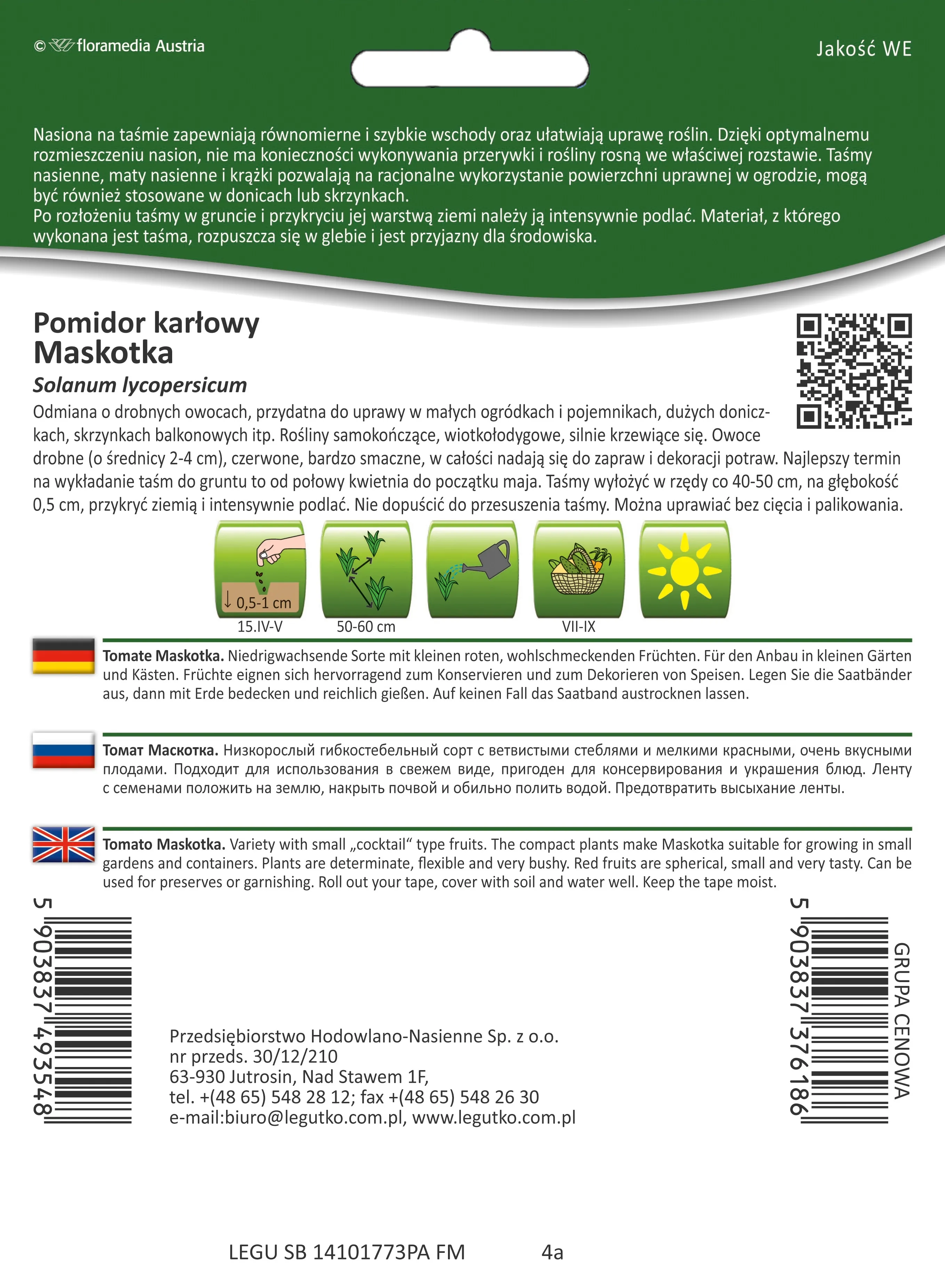 Pomidor Maskotka taśma 6metrów kupuj w OBI