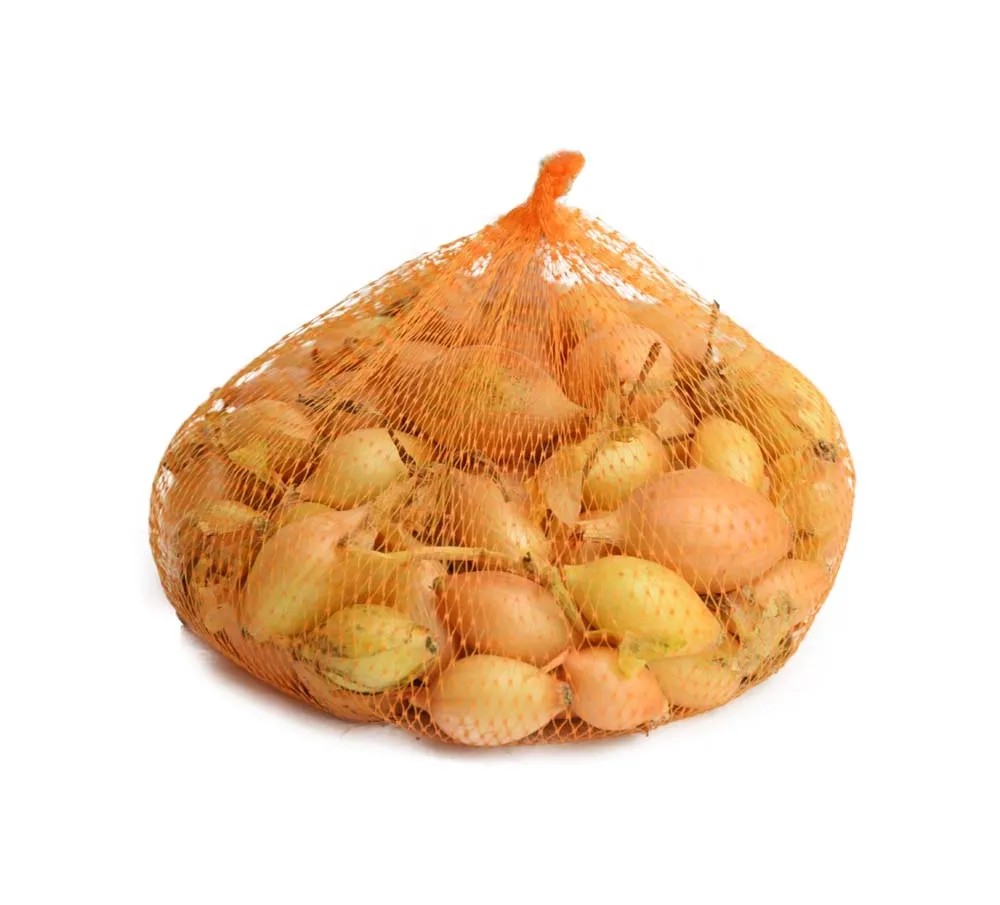 Cebula dymka (Allium cepa) Sturon - 250 g kupuj w OBI