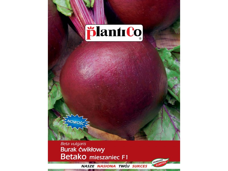 Burak ćwikłowy Betako F1 kupuj w OBI