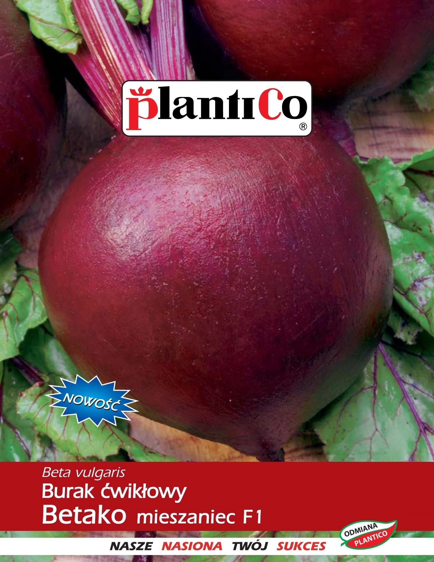 Burak ćwikłowy Betako F1 kupuj w OBI