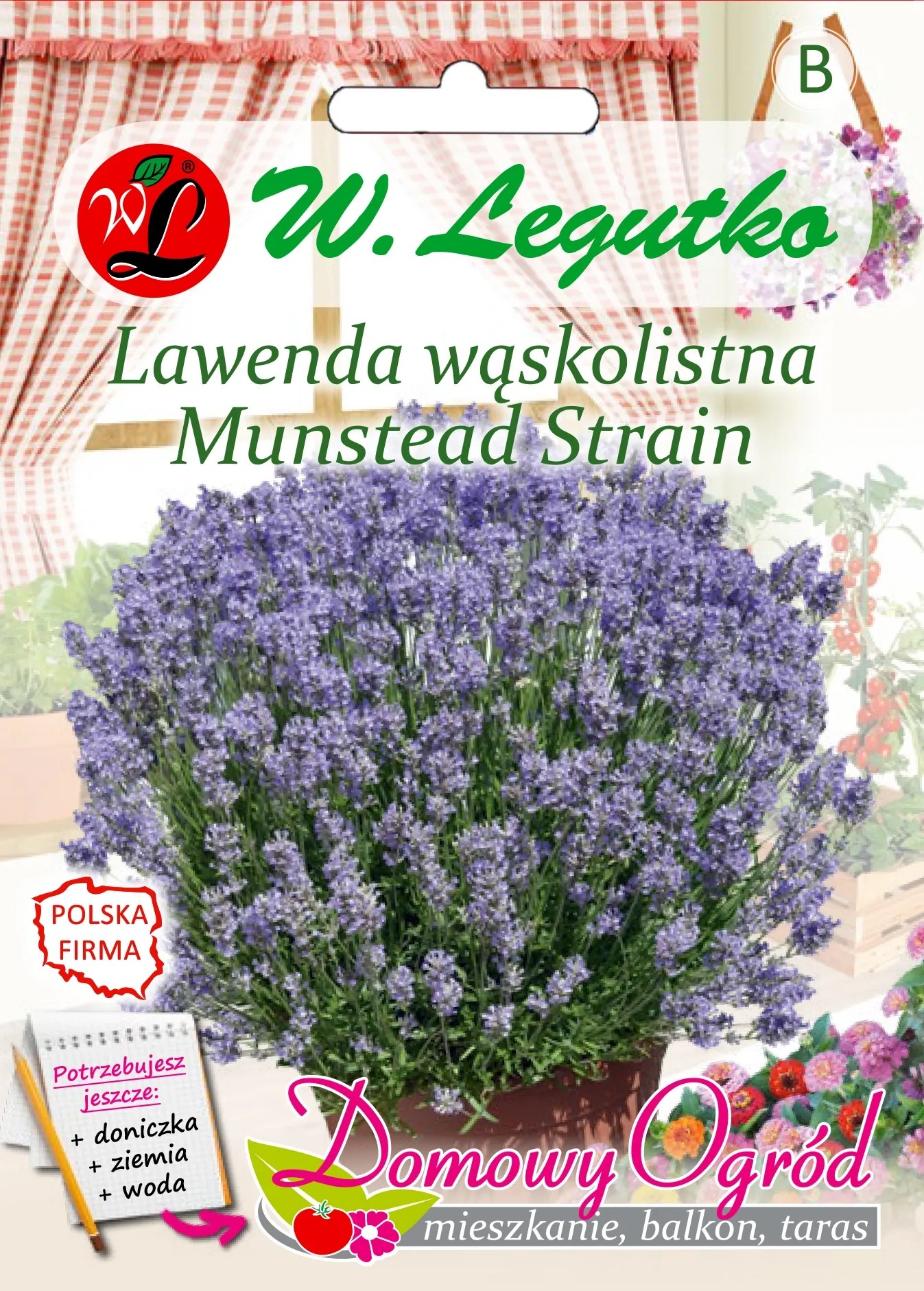 Lawenda wąskolistna Munstead Strain kupuj w OBI