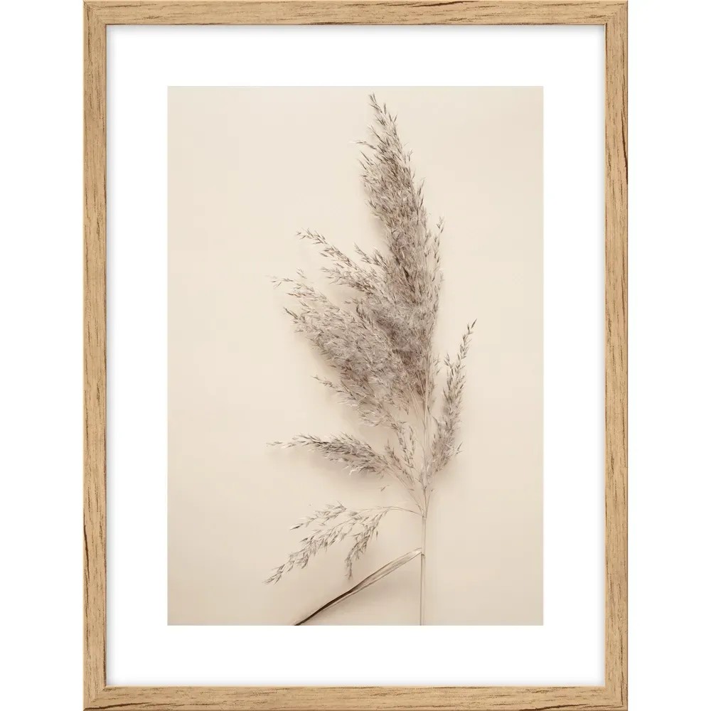 Obraz TRZCINA beżowy 30 cm x 40 cm kupuj w OBI
