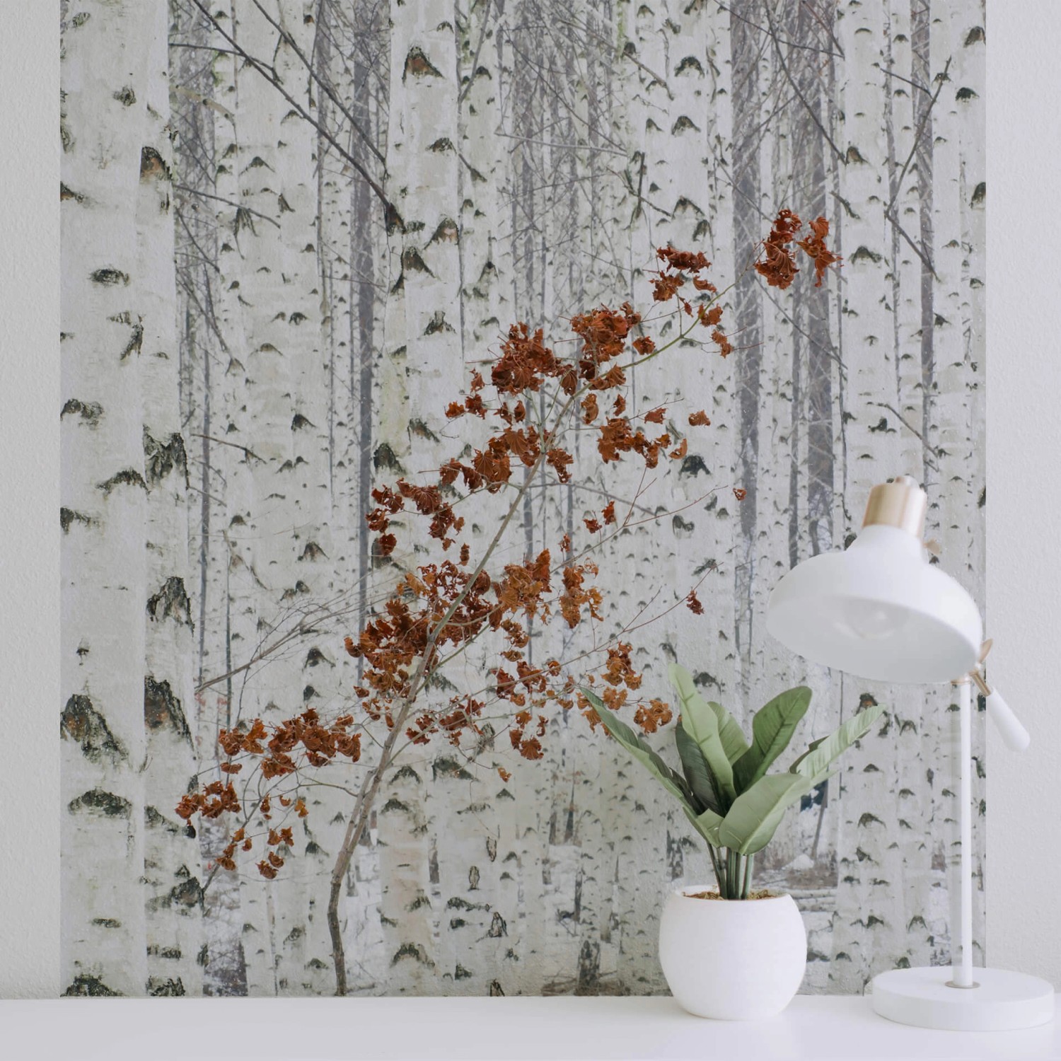 Fototapeta White Birch Forest 192x260 cm kupuj w OBI