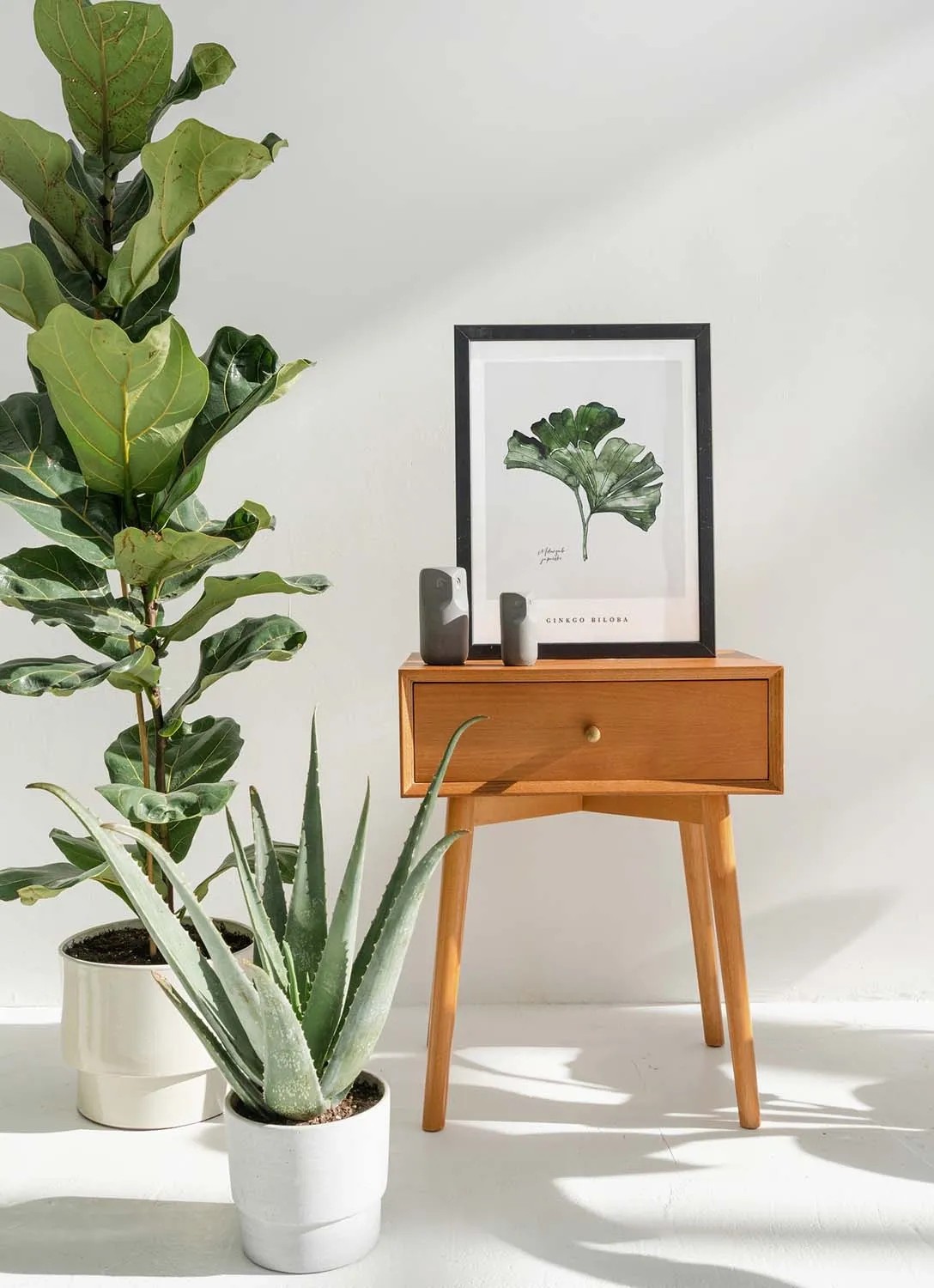 ARS LONGA Obraz GINKGO BILOBA ART 53 x 73 cm kupuj w OBI
