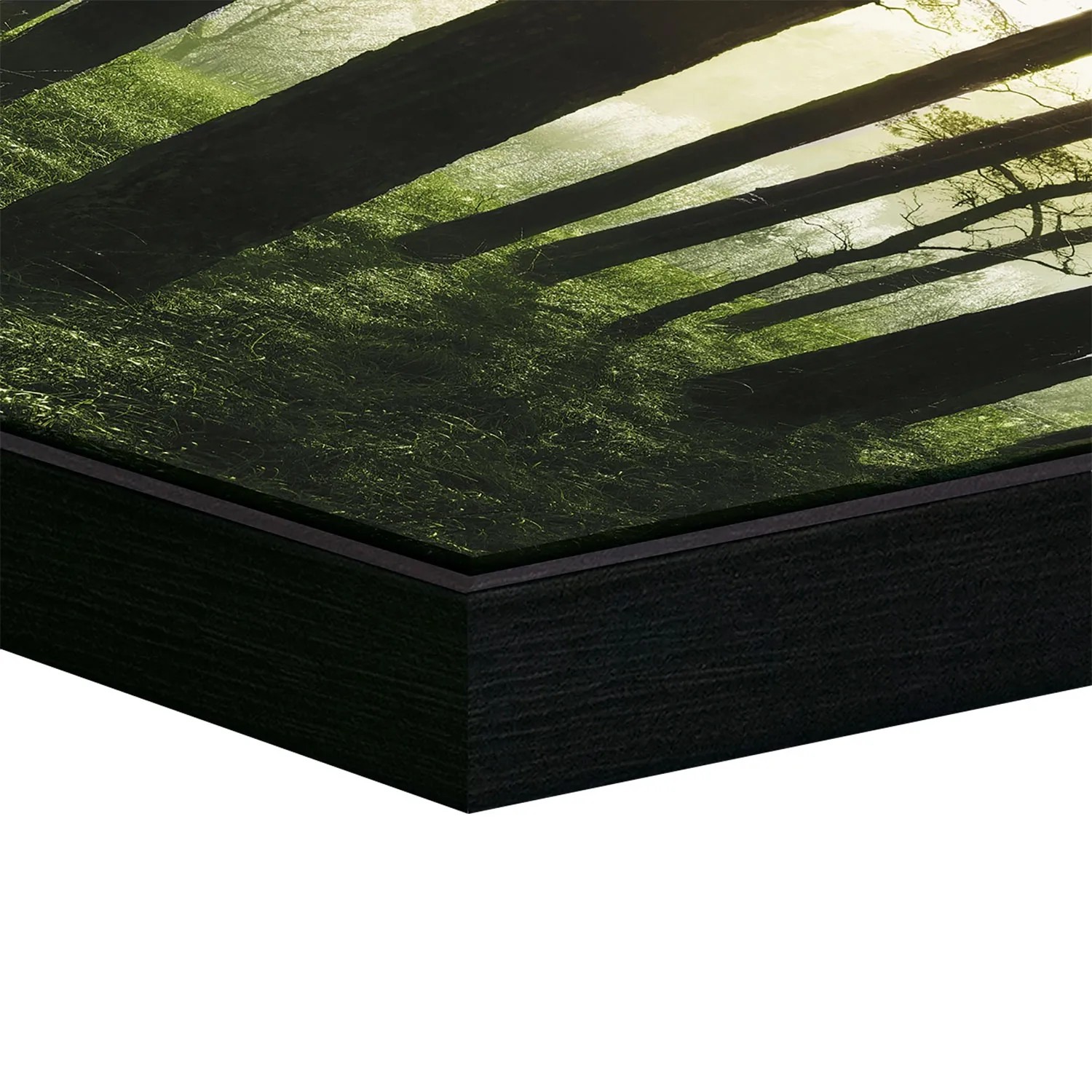 Knor Obraz Las 50 x 70 cm kupuj w OBI