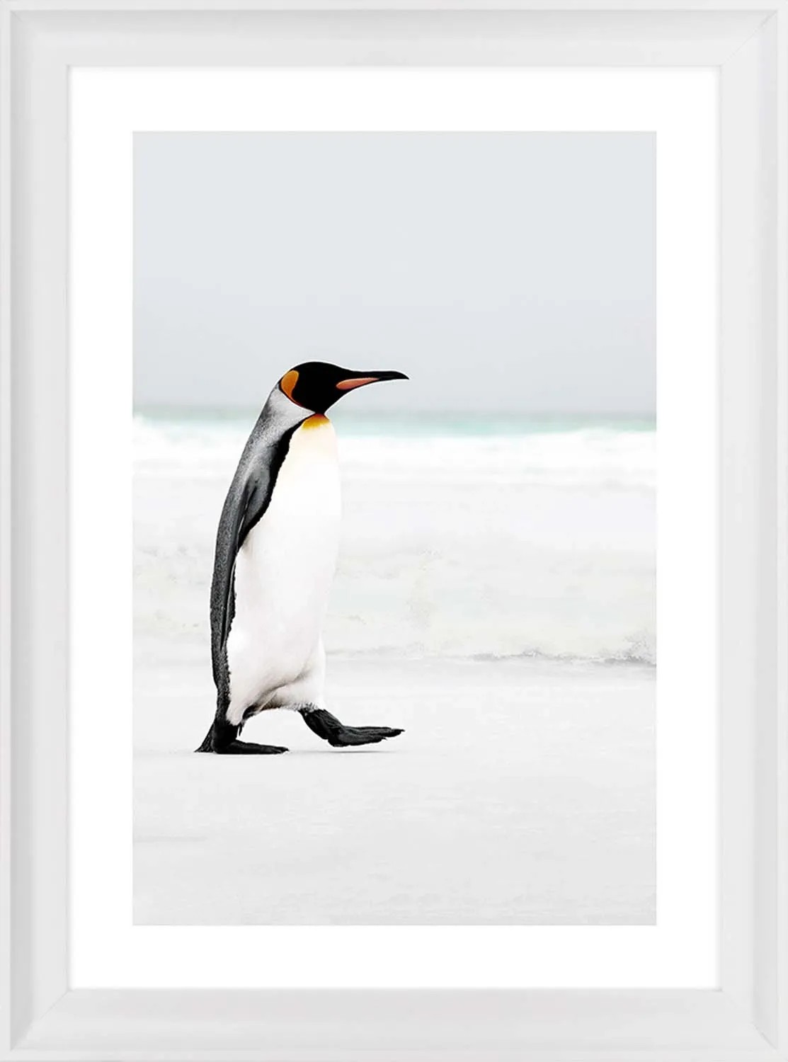 ARS LONGA Obraz PENGUIN ON THE BEACH 58 x 78 cm