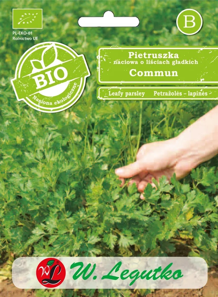 Pietruszka naciowa Cummun 2 5g kupuj w OBI