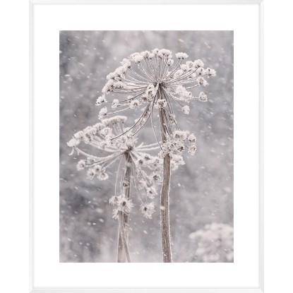 Obraz KWIAT 40 x 50 cm kupuj w OBI