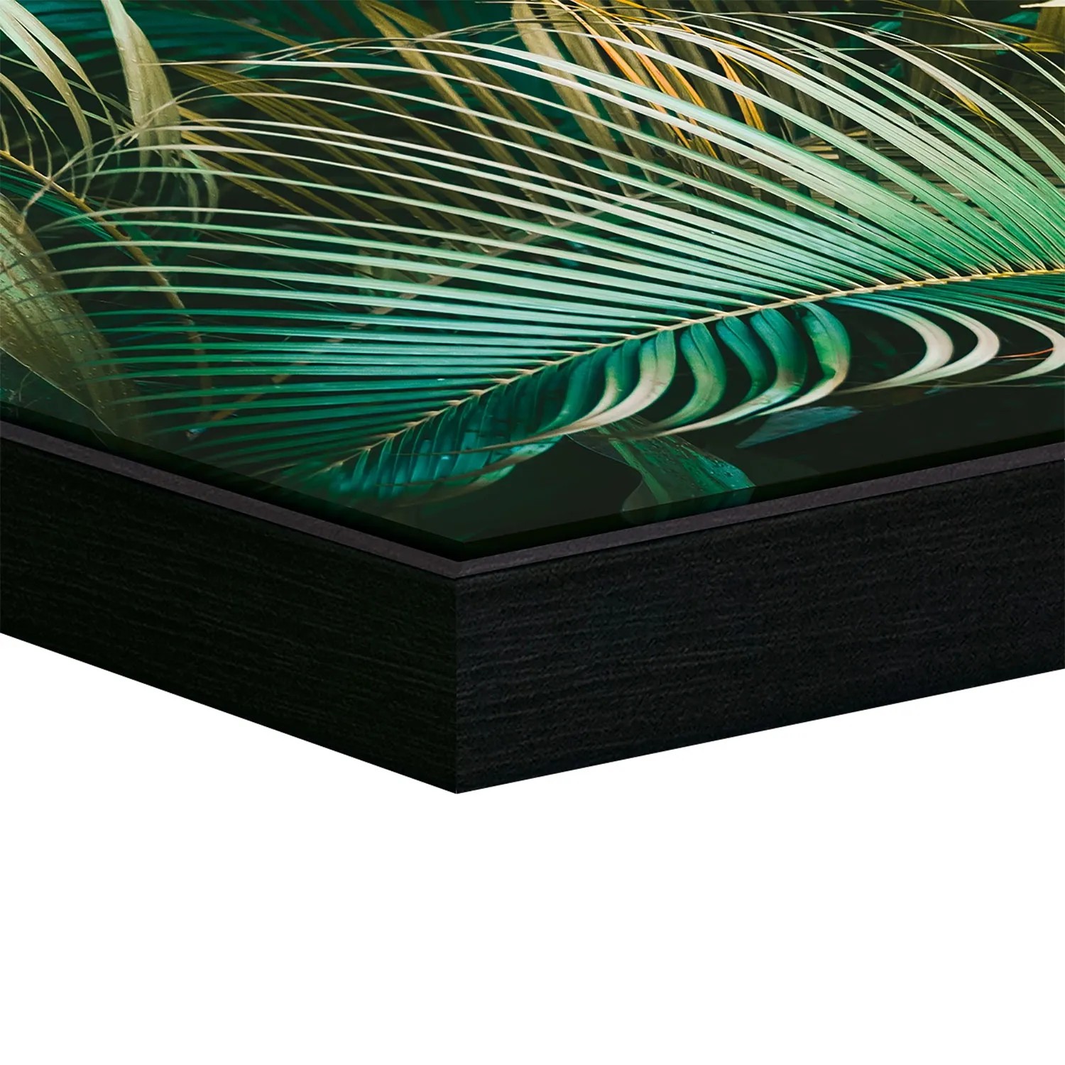 Knor Obraz Liście 50 x 70 cm kupuj w OBI