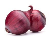 Sadzonki warzyw - Dostępne produkty - OBI wszystko do mieszkania, domu ...