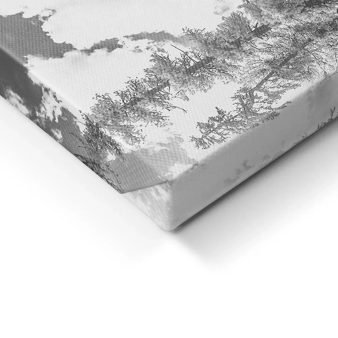 Obraz Canvas BLACK & WHITE LANDSCAPE 60 x 150 cm kupuj w OBI