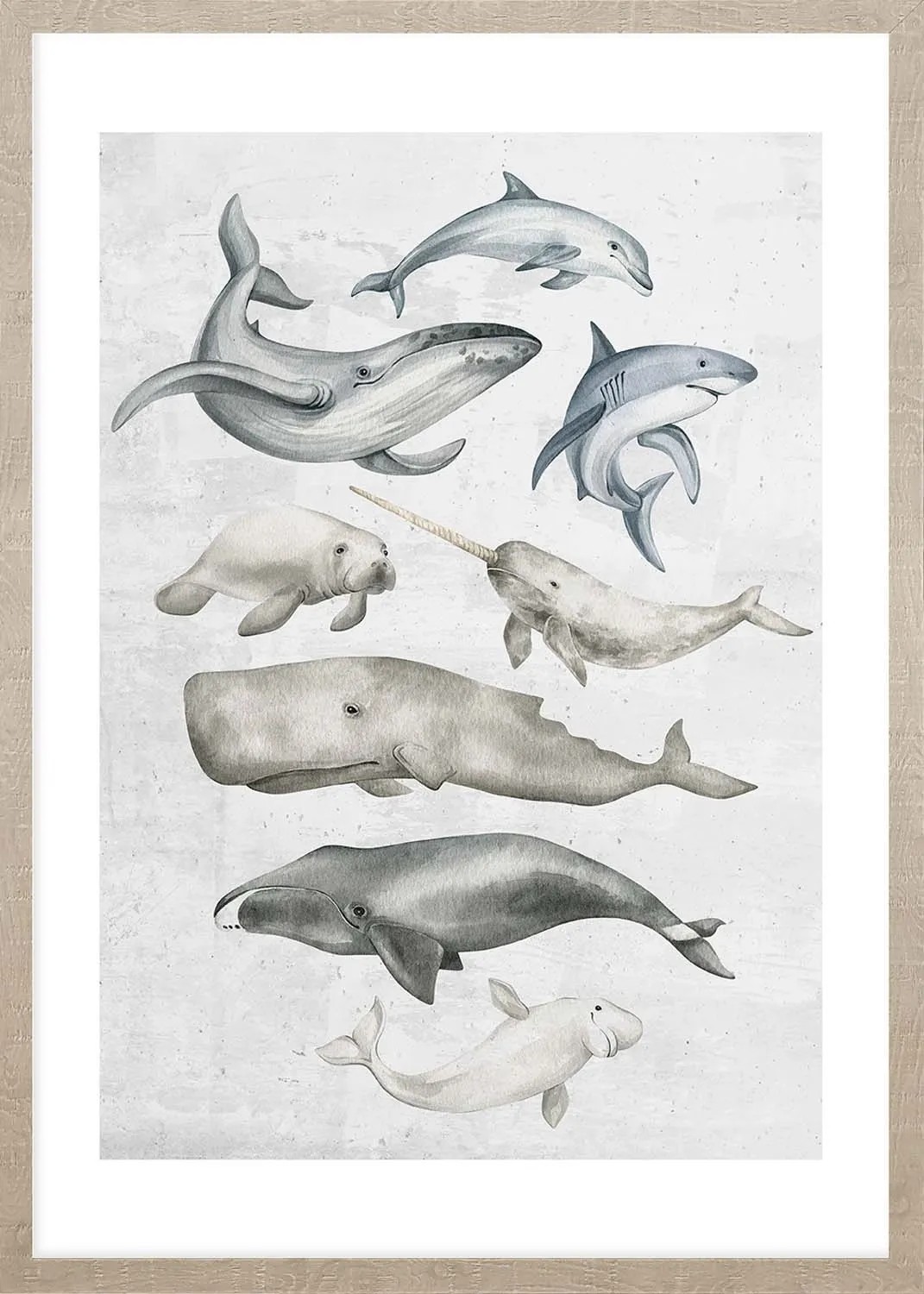 ARS LONGA Obraz OCEAN FISH 53 x 73 cm kupuj w OBI
