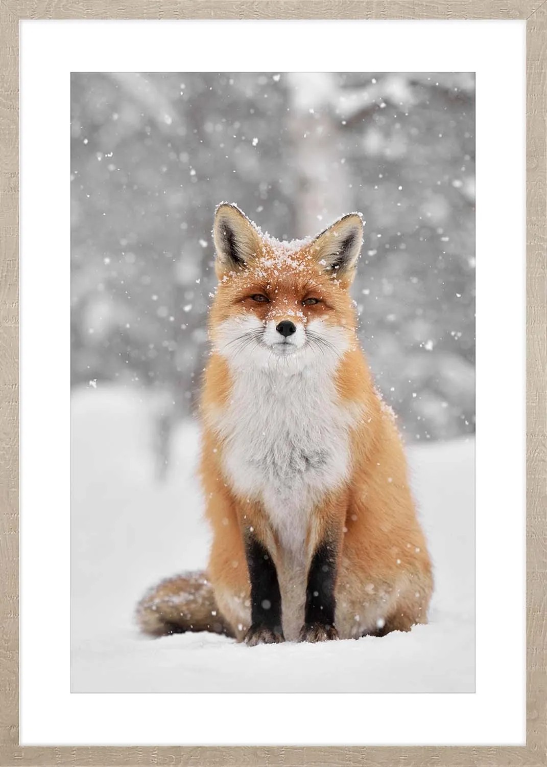 ARS LONGA Obraz FO x IN WINTER 53 x 73 cm