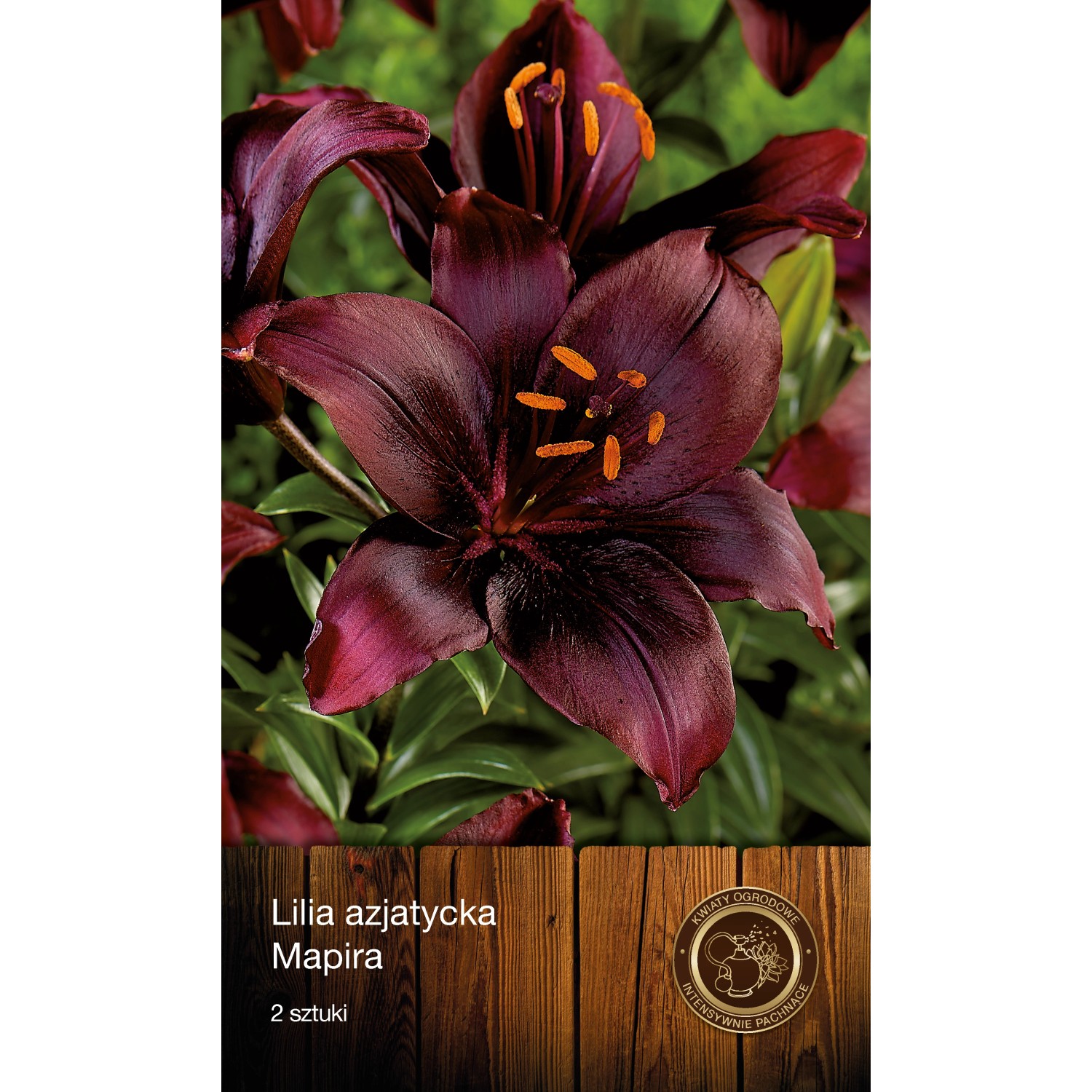 Lilia Az. Mapira 2szt. kupuj w OBI