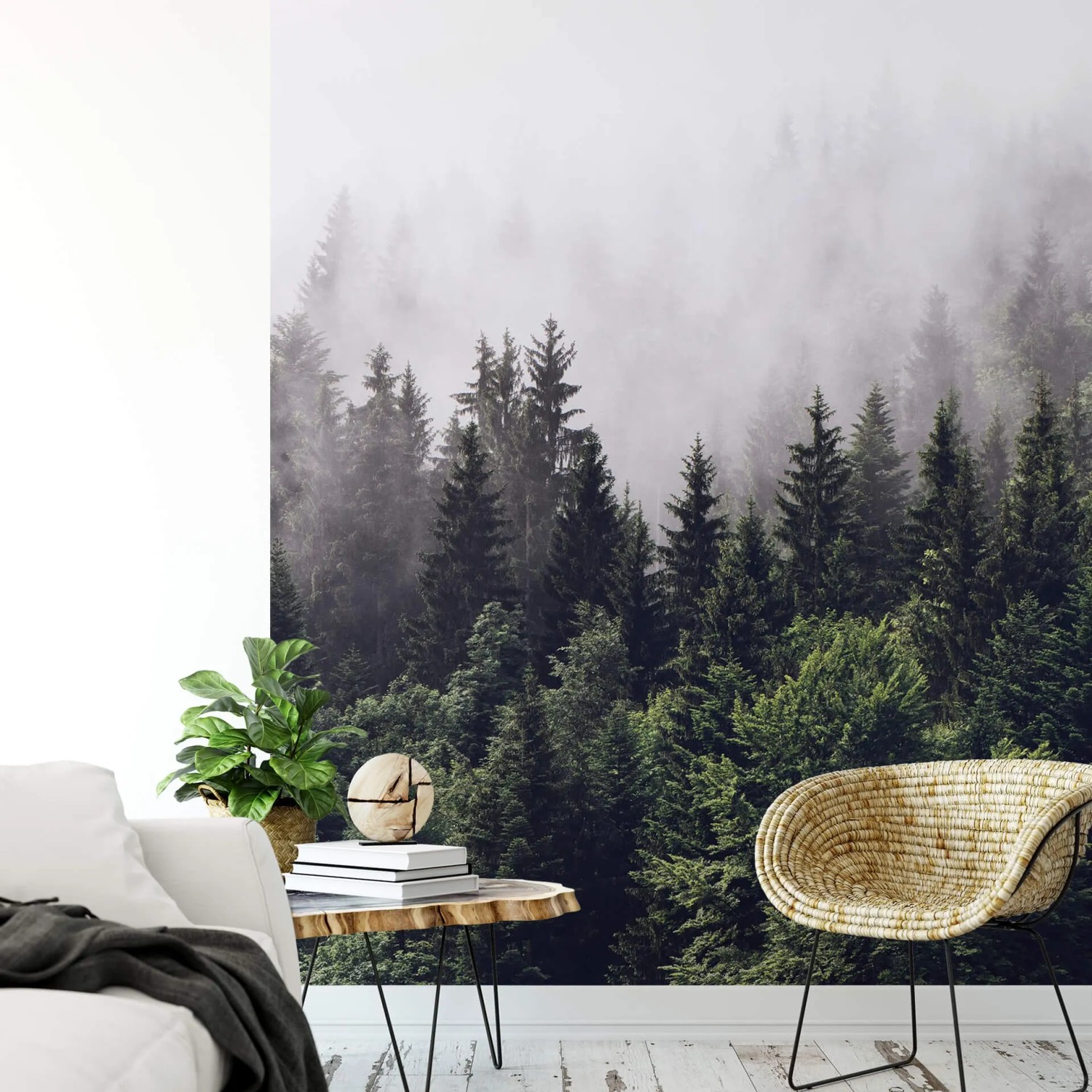 Fototapeta Foggy Forest 192 x 260 cm kupuj w OBI
