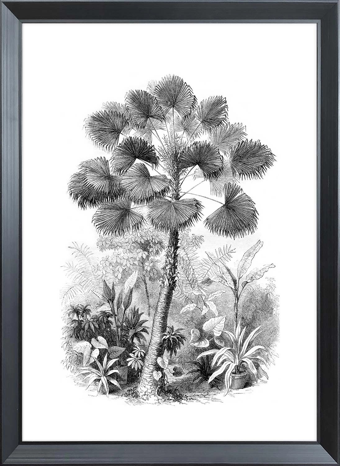 ARS LONGA Obraz PALM TREE 55 x 75 cm kupuj w OBI